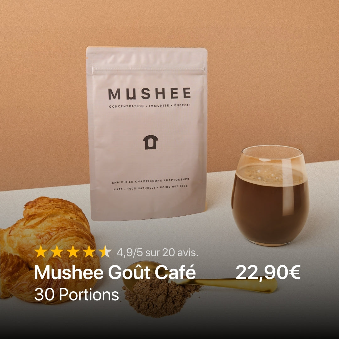 MUSHEE - Boissons Aux Champignons
